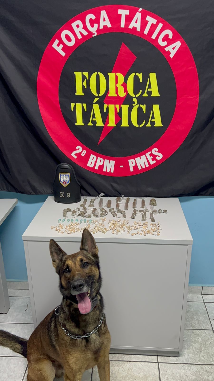 PMES - PM apreende drogas e munições em Nova Venécia e São Gabriel da Palha